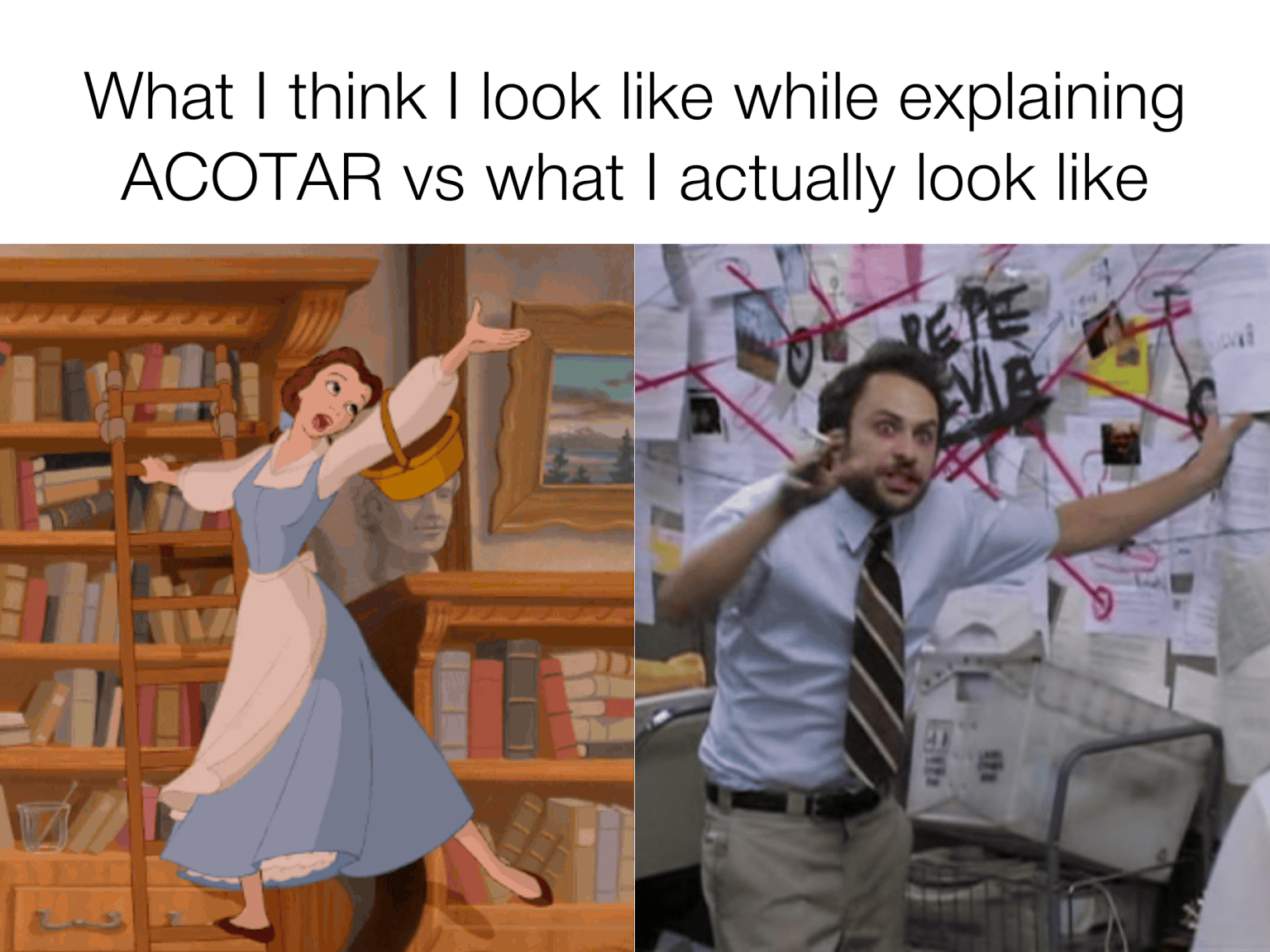 15 ACOTAR Memes That Are Way Too Relatable - Maasversity