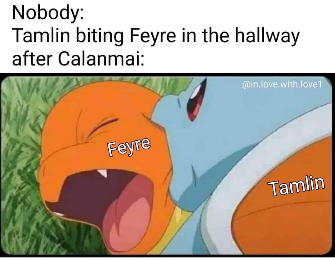 16+ ACOTAR Memes That Capture the Magic and Mischief of Book One ...