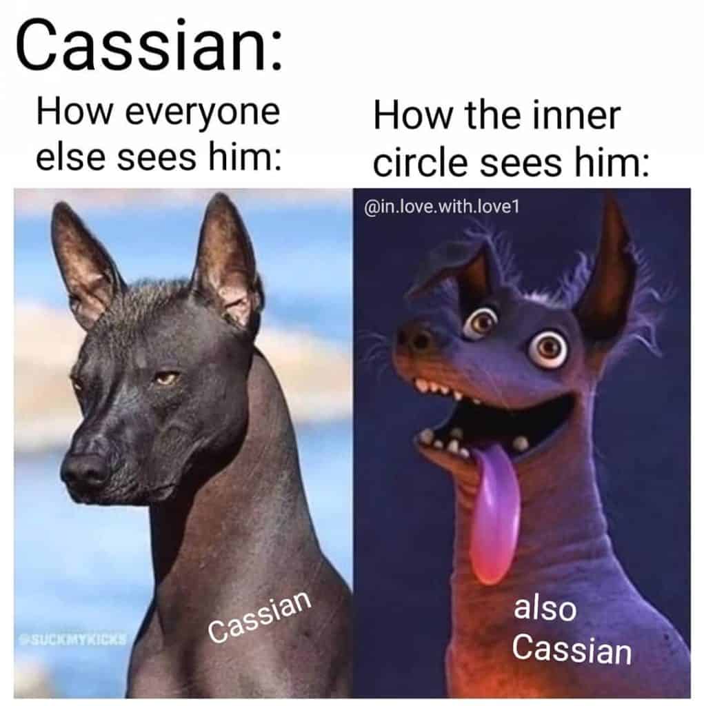 14+ Cassian Memes That Perfectly Capture His Playful Personality ...