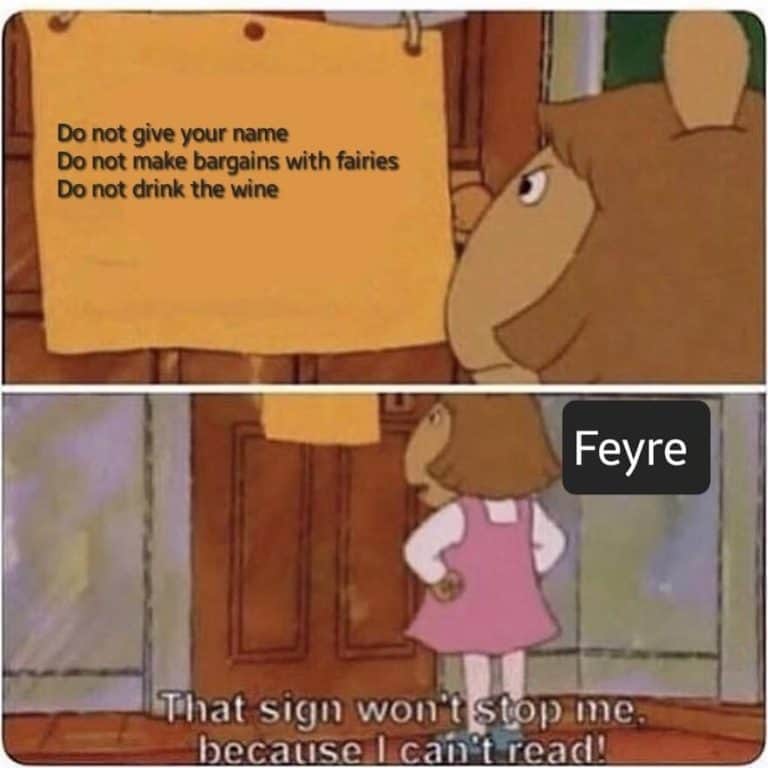 20 Feyre Memes That Are as Fierce as They Are Funny - Maasversity