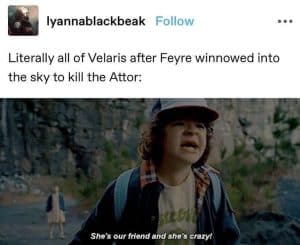 20 Feyre Memes That Are as Fierce as They Are Funny - Maasversity