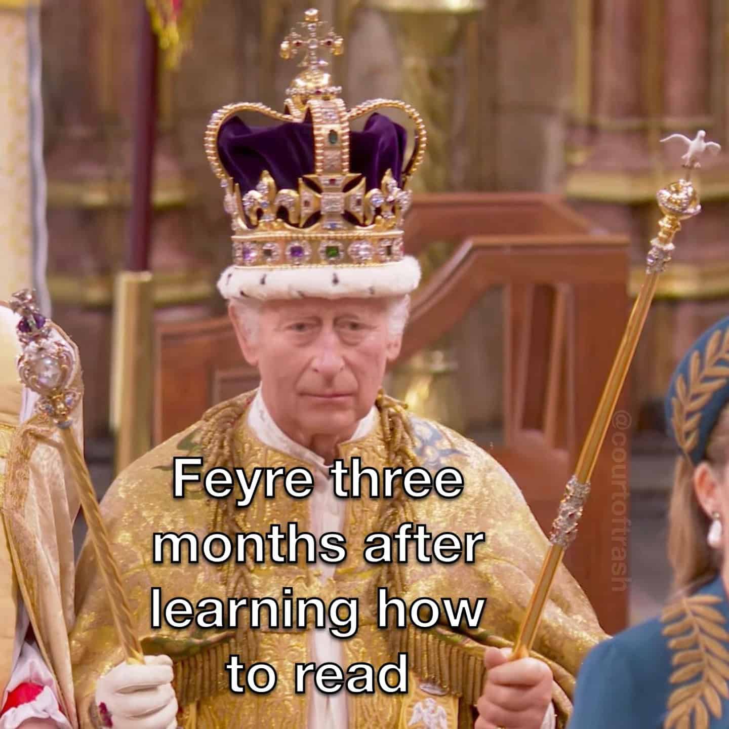 20 Feyre Memes That Are as Fierce as They Are Funny - Maasversity