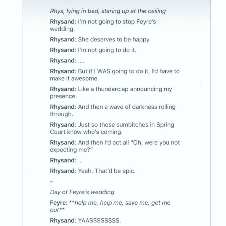 18+ Rhysand Memes That Will Hit You in Your Heart and Your Funny Bone ...