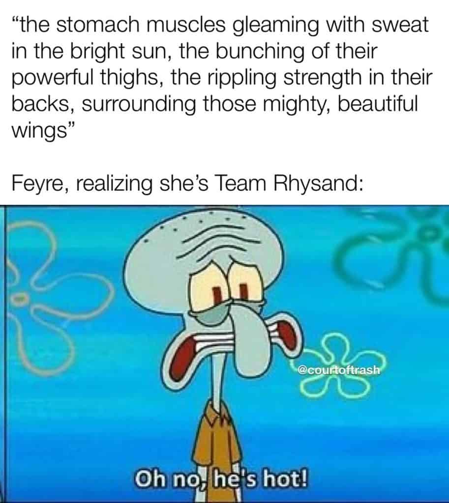 20+ ACOMAF Memes That Celebrate the Passion and Playfulness of Book Two ...