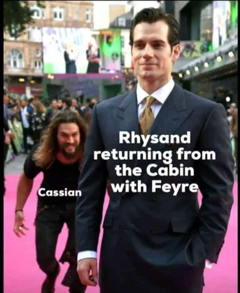 20+ ACOMAF Memes That Celebrate the Passion and Playfulness of Book Two ...