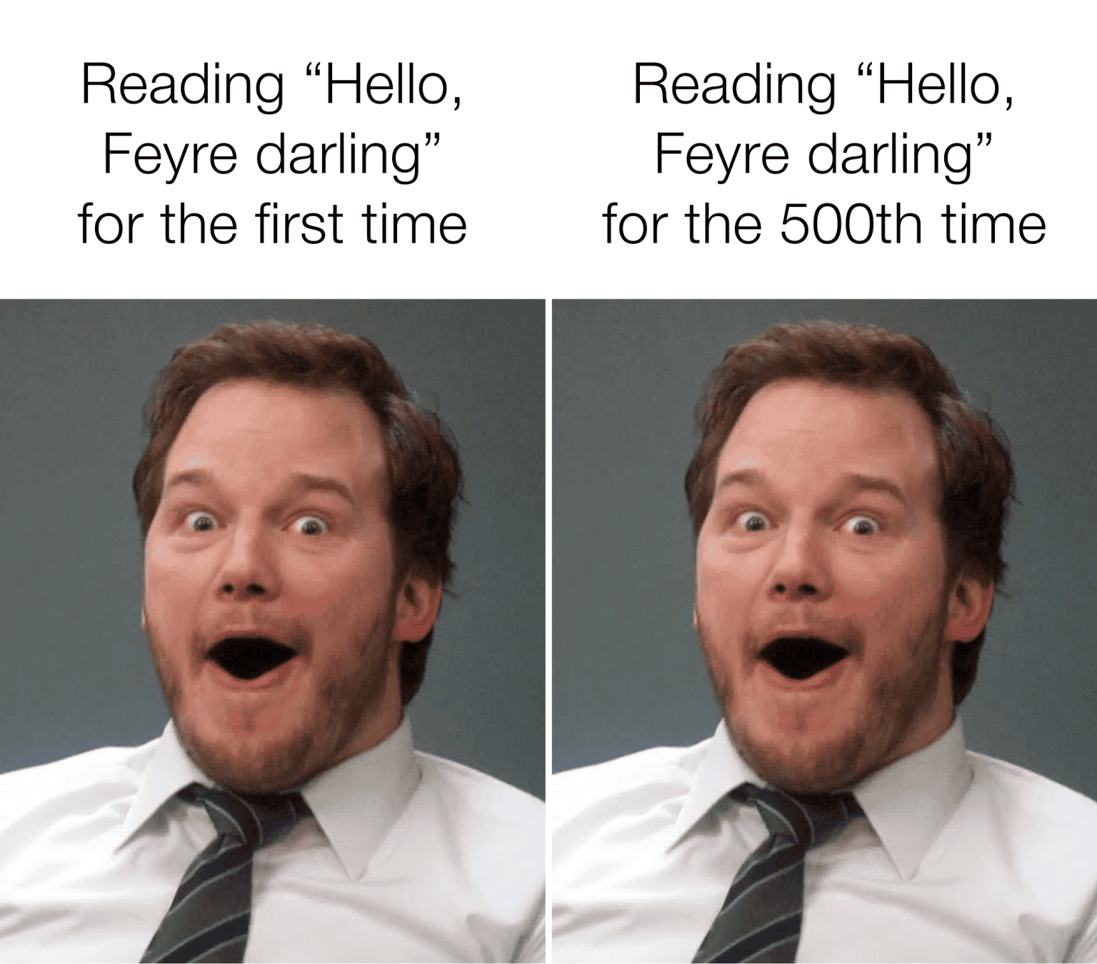 20+ ACOMAF Memes That Celebrate the Passion and Playfulness of Book Two ...