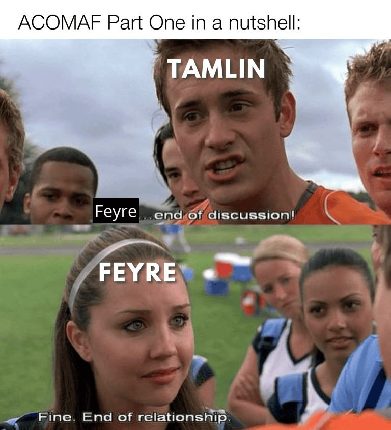 20+ ACOMAF Memes That Celebrate the Passion and Playfulness of Book Two ...