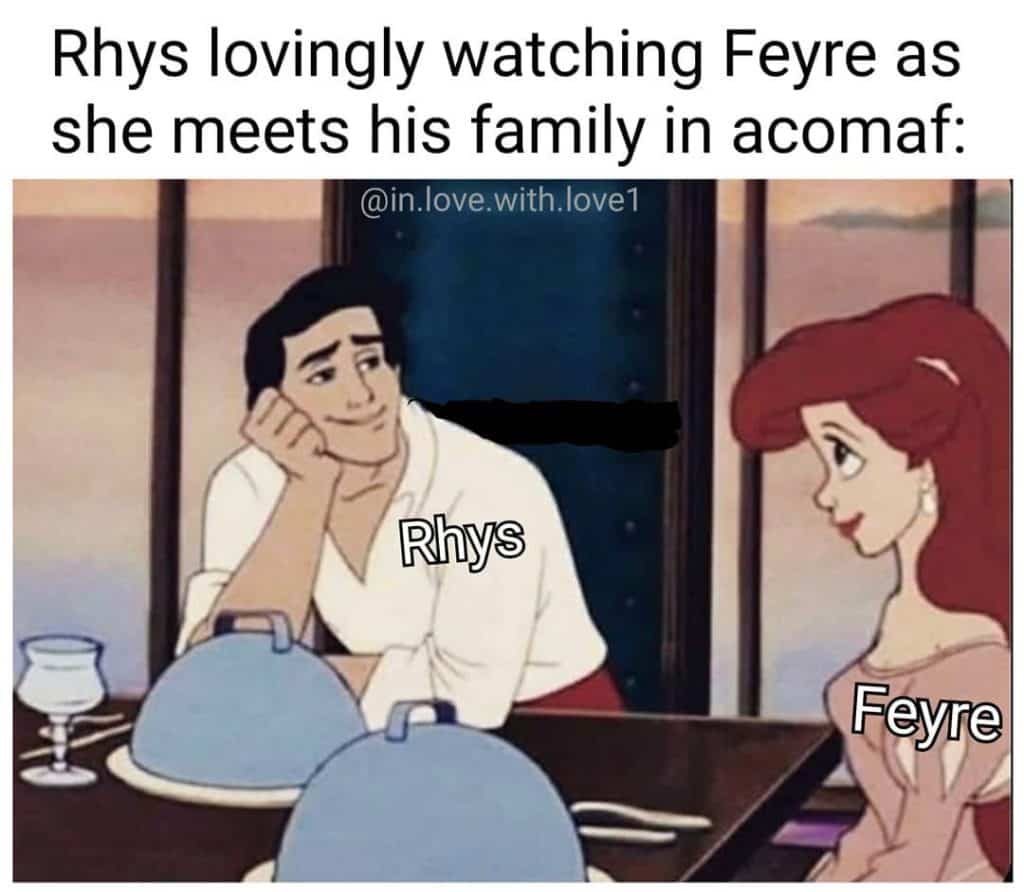 20+ ACOMAF Memes That Celebrate the Passion and Playfulness of Book Two ...