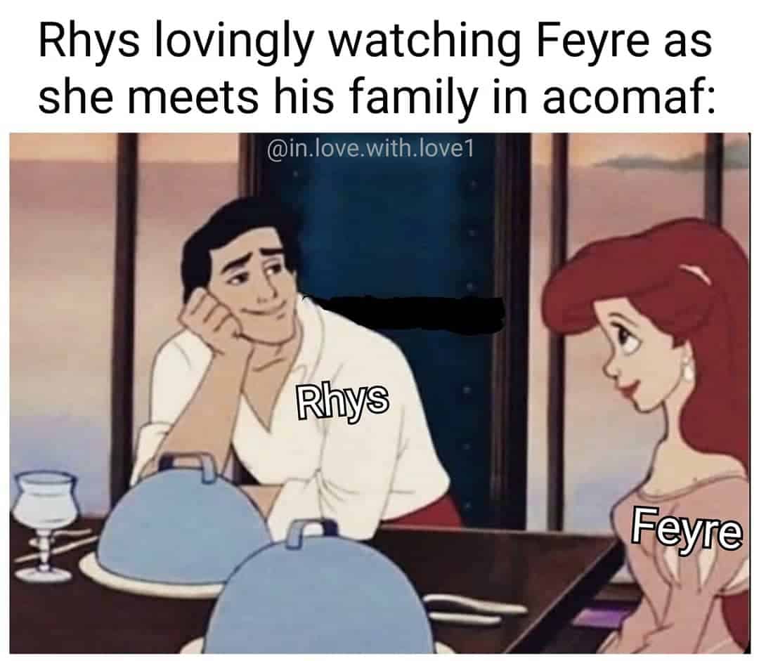 20+ ACOMAF Memes That Celebrate the Passion and Playfulness of Book Two ...