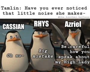 16 ACOWAR Memes That Capture the Chaos and Cunning of Book Three ...