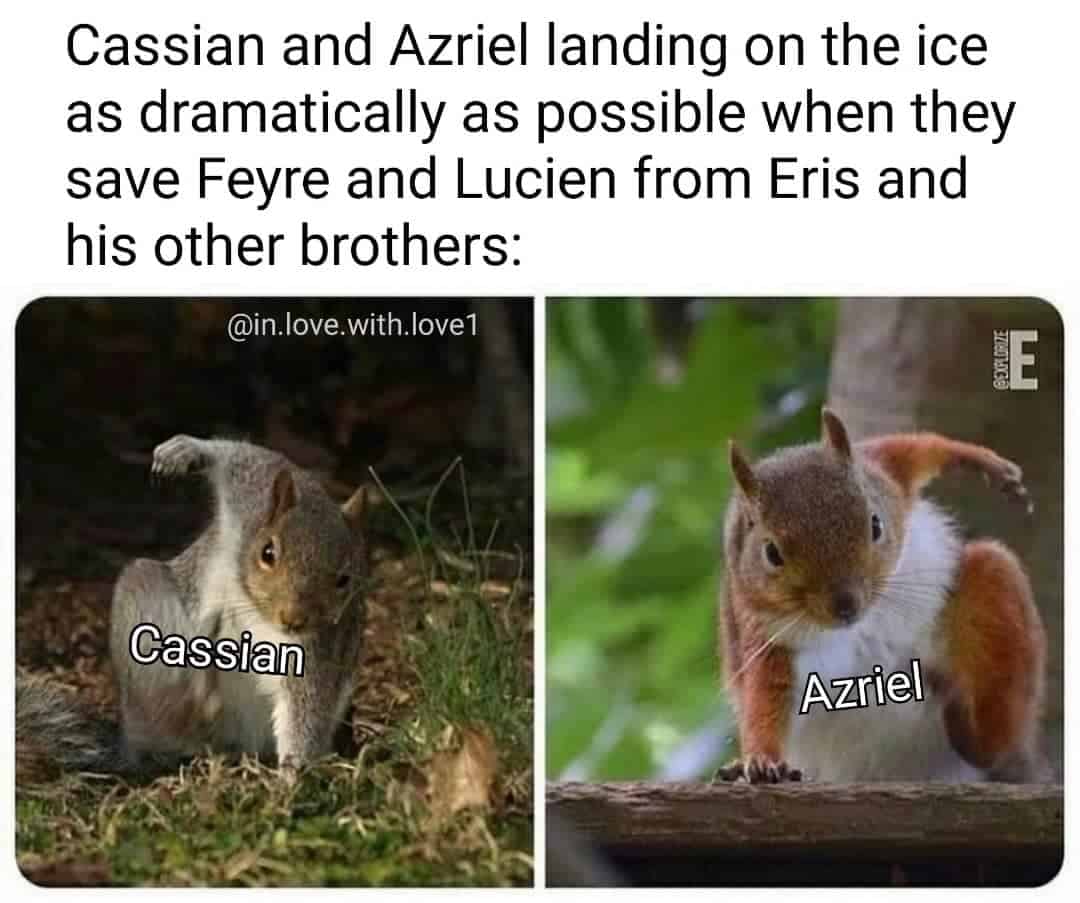 16 ACOWAR Memes That Capture the Chaos and Cunning of Book Three ...