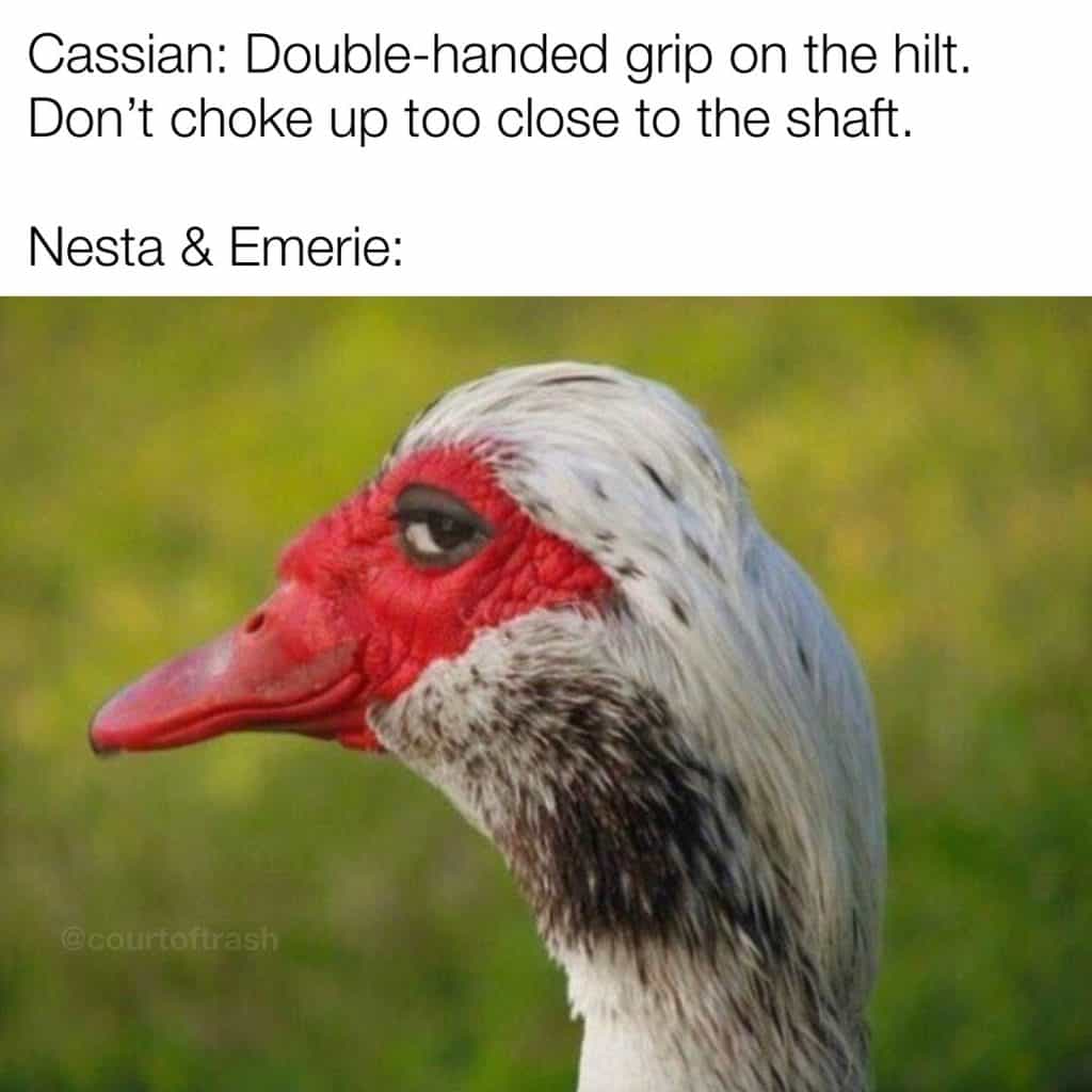 18 ACOSF Memes That Celebrate the Heat and Heart of Book Five - Maasversity