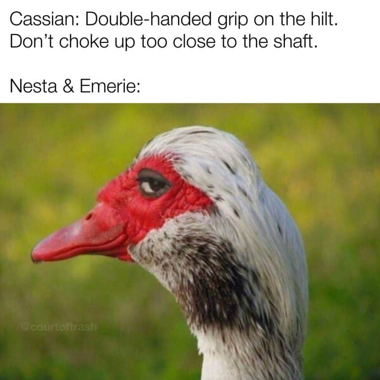 18 ACOSF Memes That Celebrate the Heat and Heart of Book Five - Maasversity