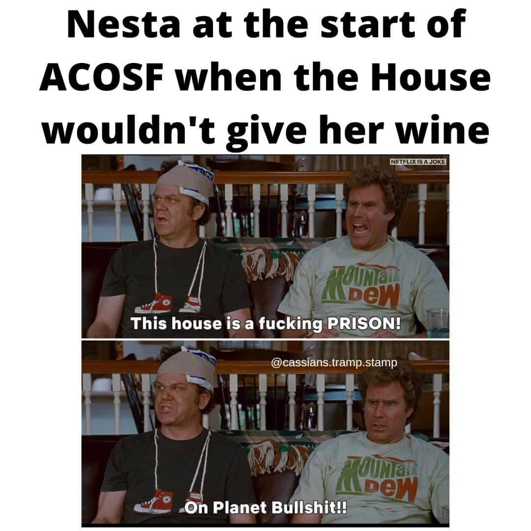 18 ACOSF Memes That Celebrate the Heat and Heart of Book Five - Maasversity