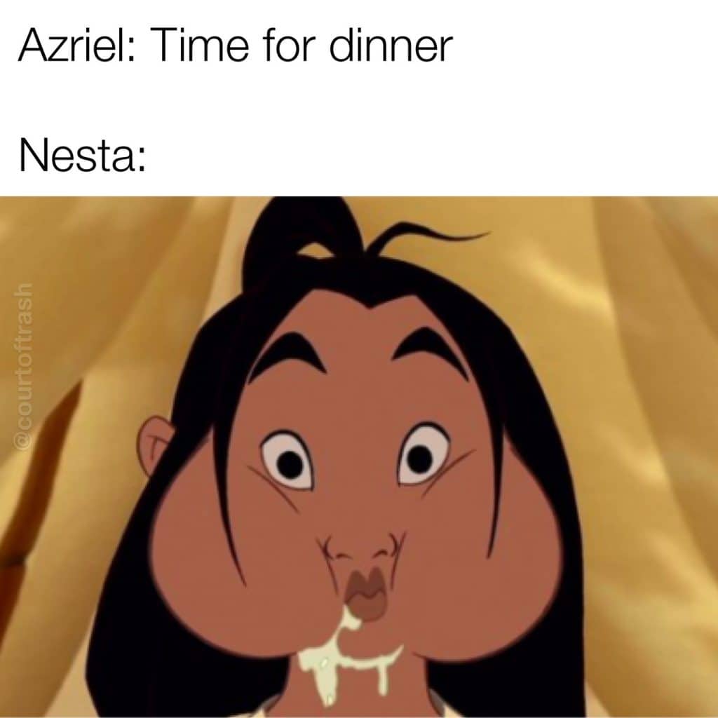 18 ACOSF Memes That Celebrate the Heat and Heart of Book Five - Maasversity