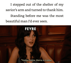 20 Feysand Memes That Celebrate Prythian’s Most Powerful Couple ...
