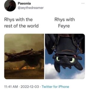20 Feysand Memes That Celebrate Prythian’s Most Powerful Couple ...