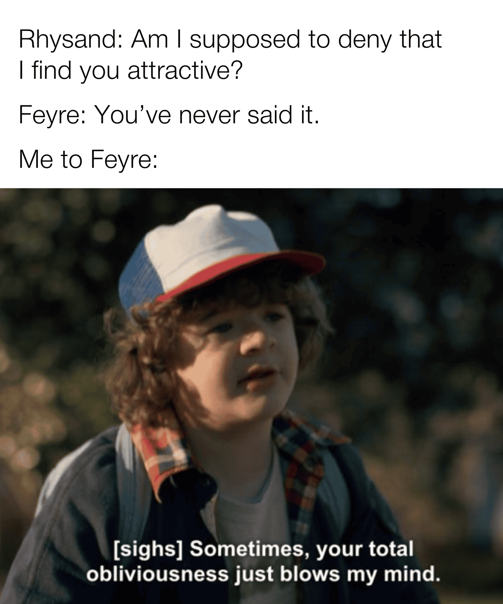 20 Feysand Memes That Celebrate Prythian’s Most Powerful Couple ...