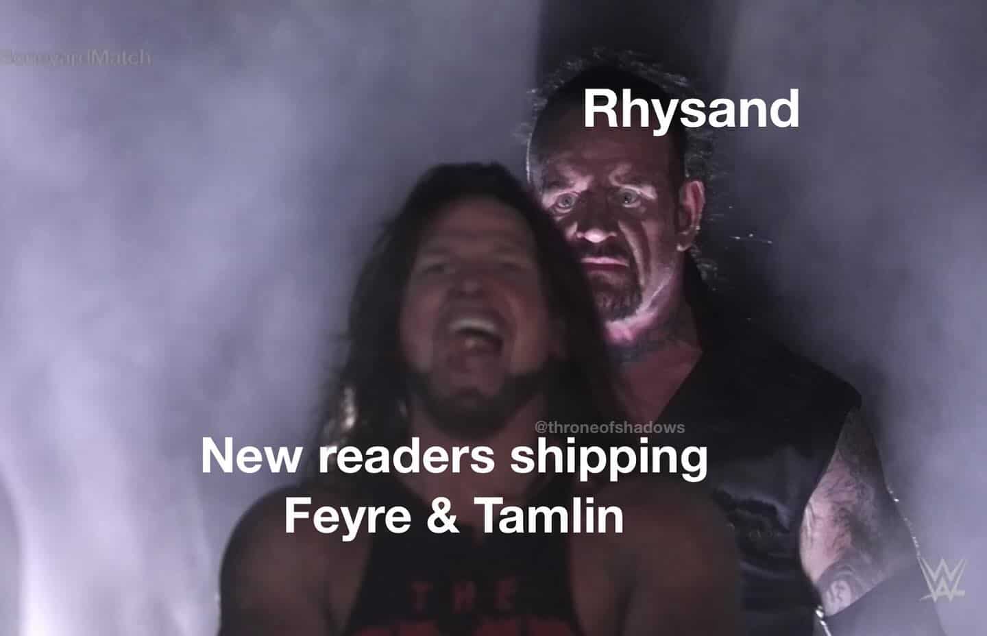 20 Feysand Memes That Celebrate Prythian’s Most Powerful Couple ...