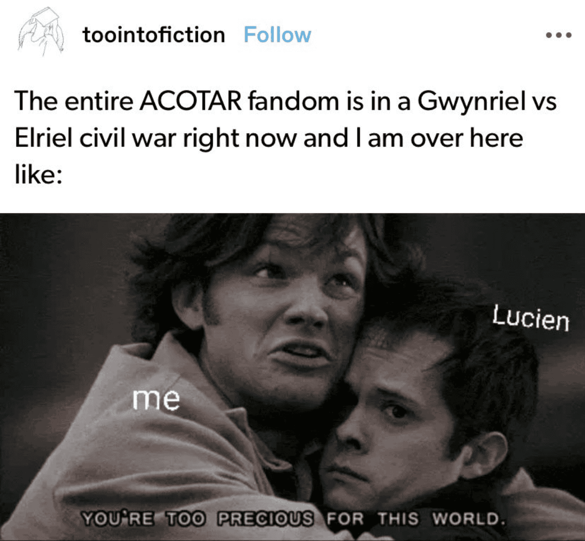 13+ Lucien Memes That Capture the Clever Charm of Our Favorite Fox ...