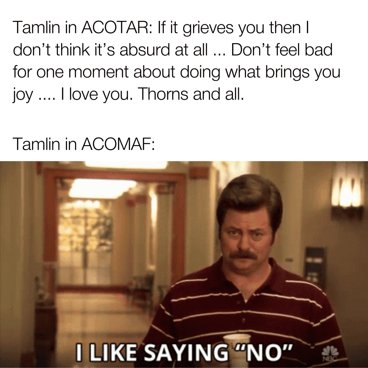 15 Tamlin Memes That Are as Controversial as the High Lord Himself ...