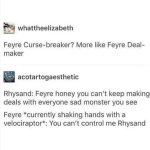 18 Incorrect ACOTAR Quotes That Are So Funny They Should Be Canon ...