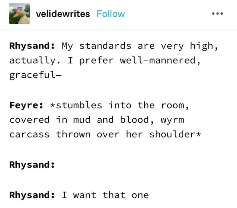 18 Incorrect ACOTAR Quotes That Are So Funny They Should Be Canon ...
