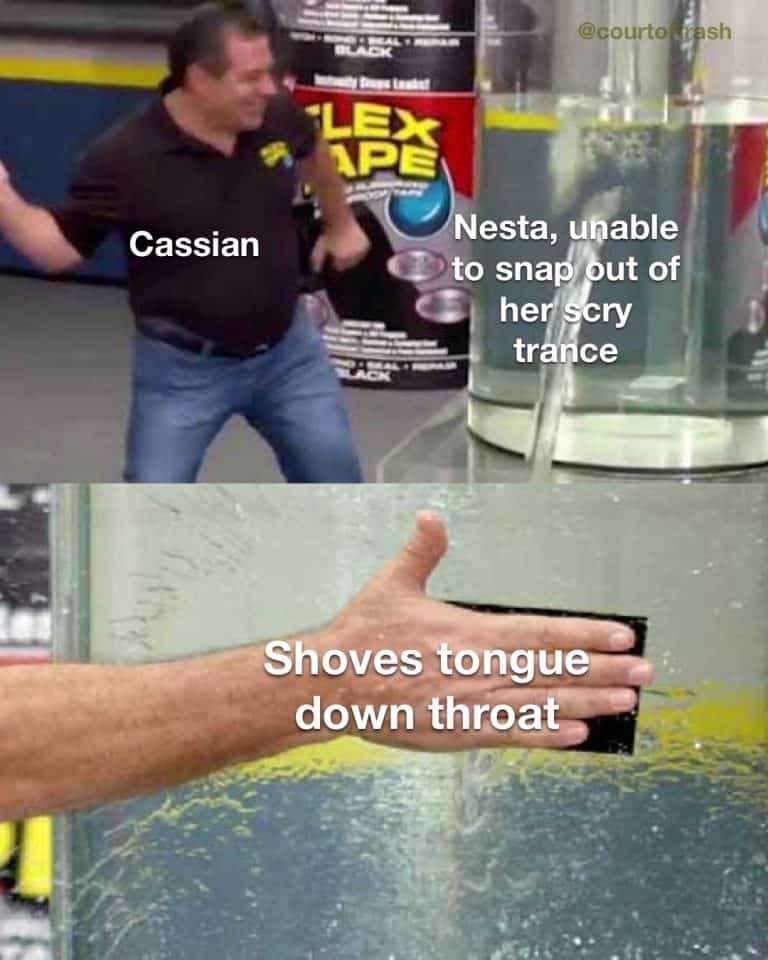 16 Nessian Memes That Perfectly Capture the Chaos of Their Chemistry ...