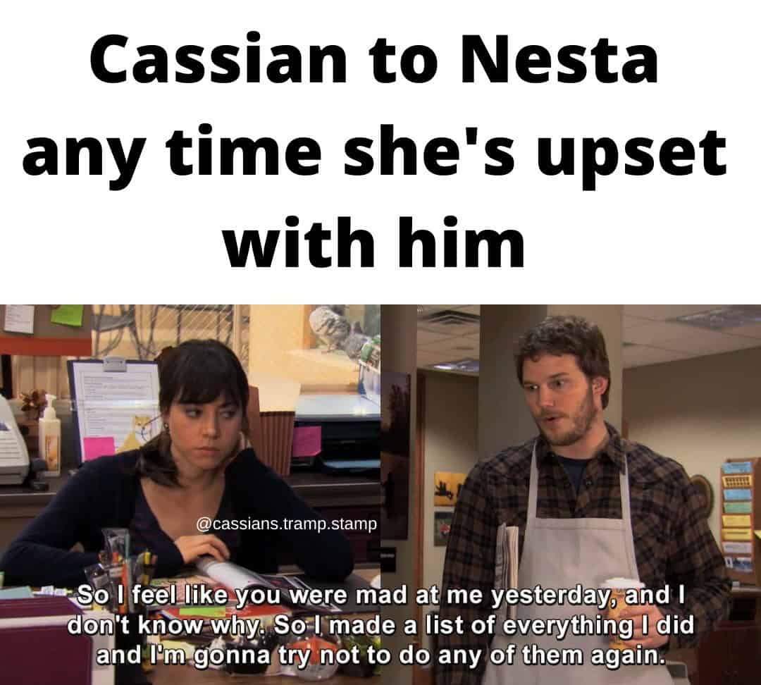 16 Nessian Memes That Perfectly Capture the Chaos of Their Chemistry ...