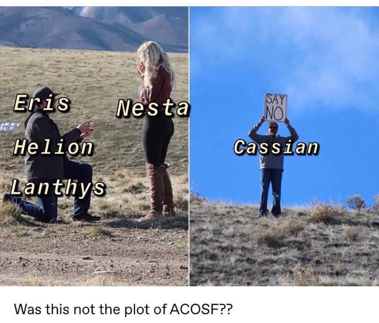 16 Nessian Memes That Perfectly Capture the Chaos of Their Chemistry ...