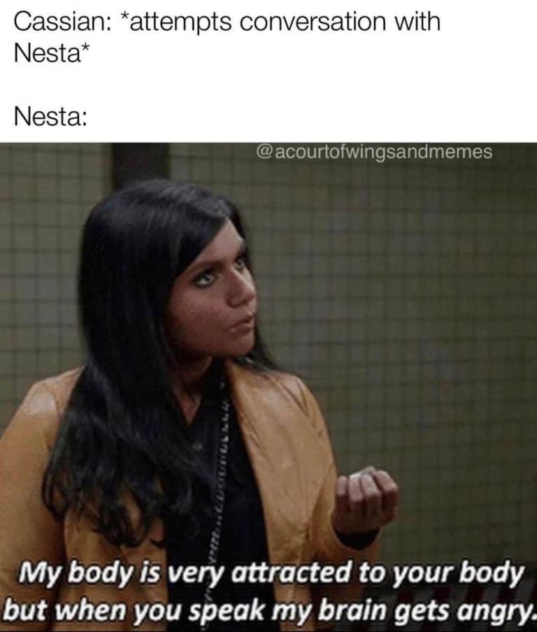 16 Nessian Memes That Perfectly Capture the Chaos of Their Chemistry ...
