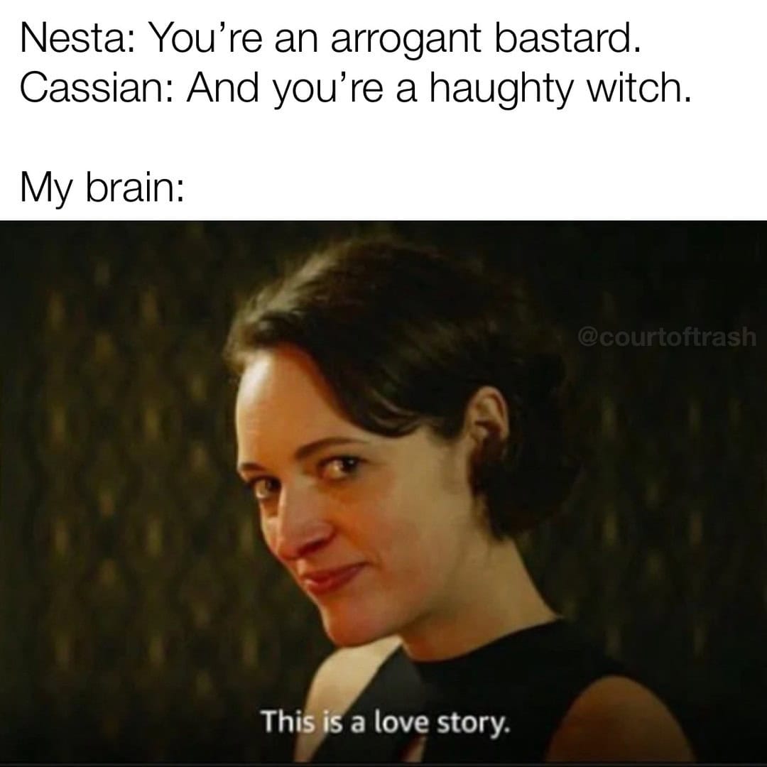 16 Nessian Memes That Perfectly Capture the Chaos of Their Chemistry ...