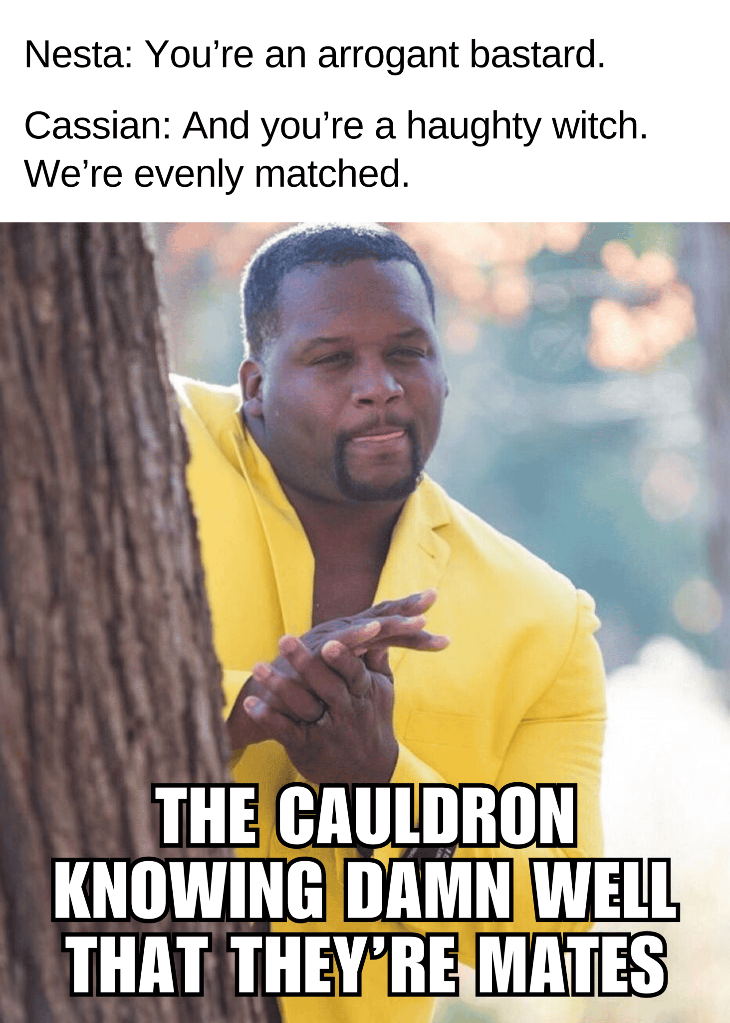 16 Nessian Memes That Perfectly Capture the Chaos of Their Chemistry ...